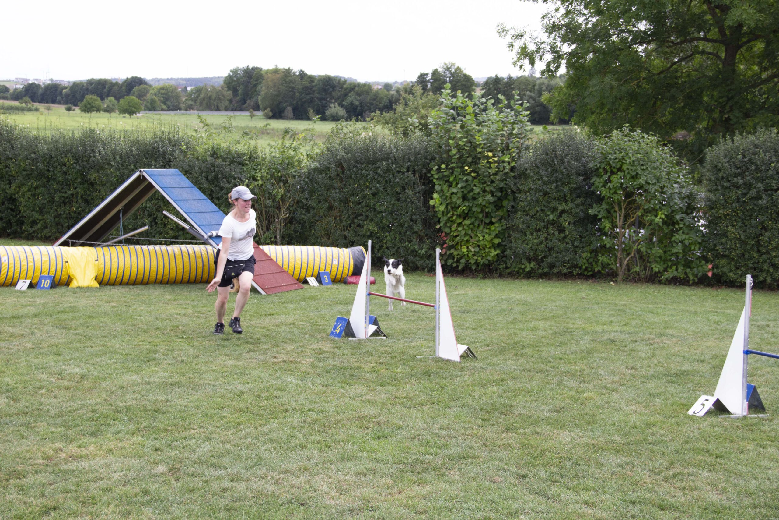 GHSV Über uns - GHSV Bönnigheim e. V.